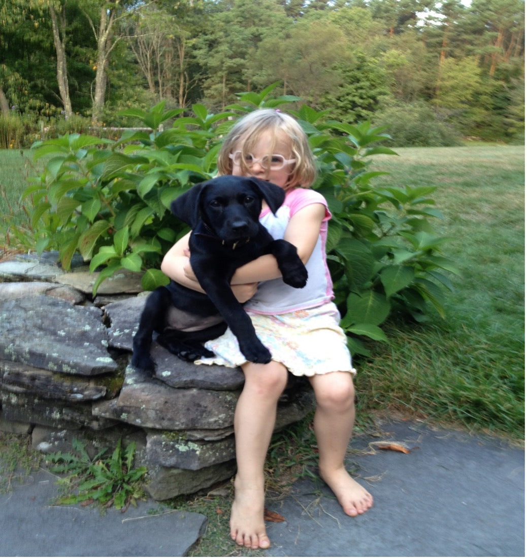 Remembering Kiki. A Dogs Life Well Lived. – 3 Dog Pet Supply